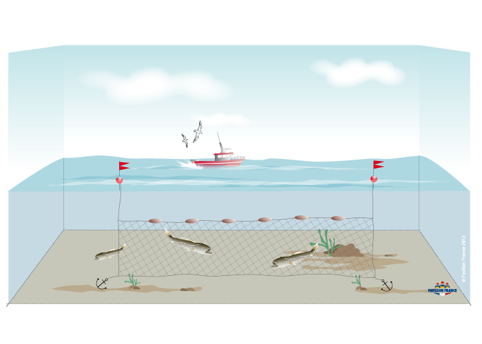 Les filets maillants : Technique de pêche au filet - Pavillon France