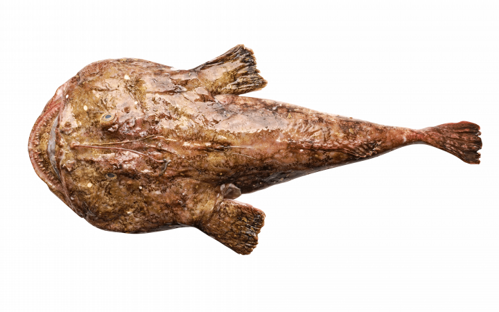 Recette de lotte - Poisson en sauce | Pavillon France